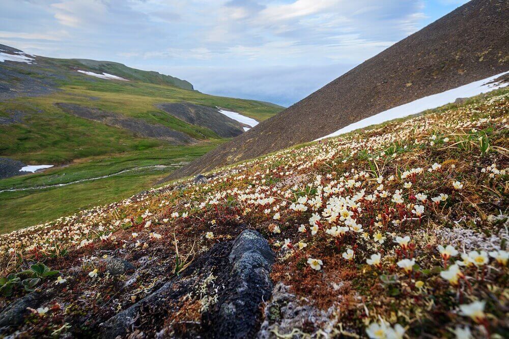 Грузоперевозки на Мыс Шмидта - отправить груз, доставка с Allitec